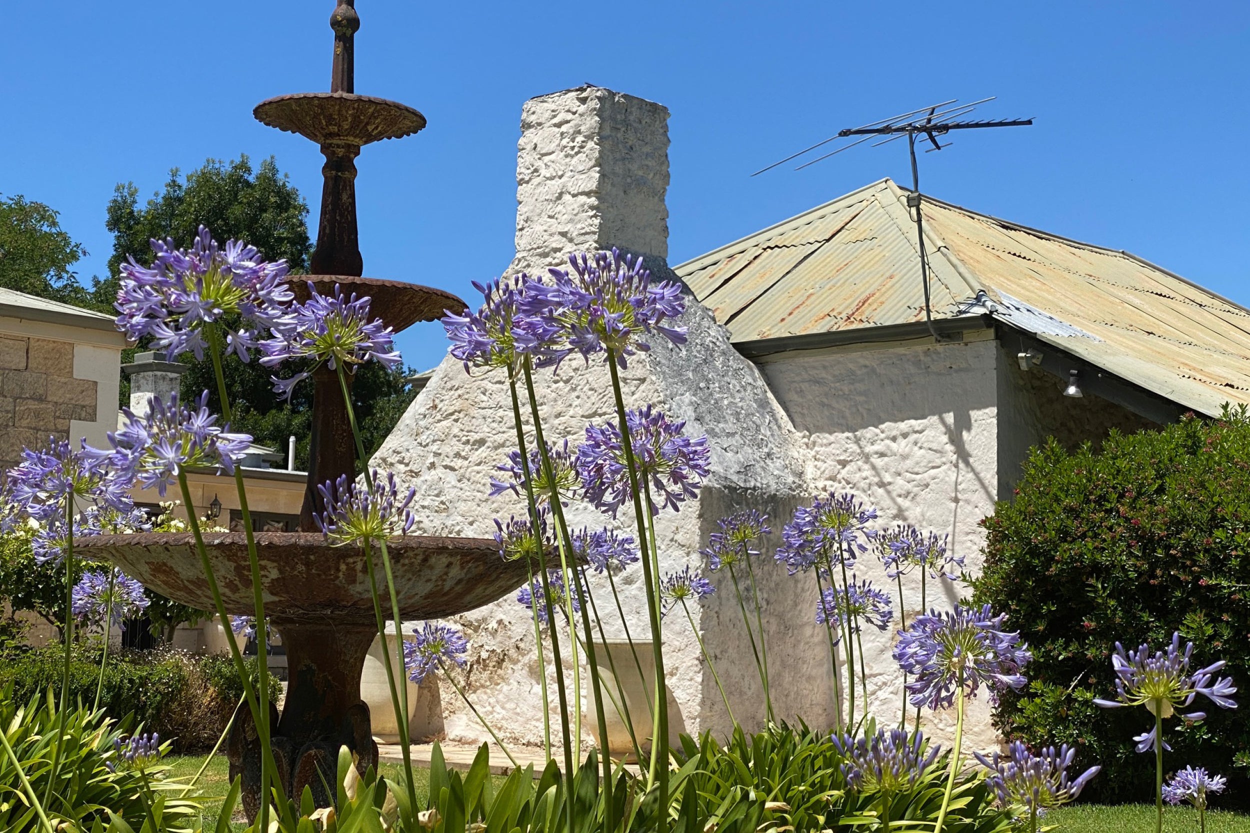 Narracoorte Homestead